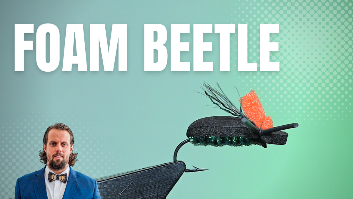 Flashy Foam Beetle Fly Pattern Tutorial – Svenddiesel.com