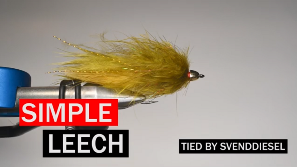 Simple Leech Fly Pattern Tutorial – Svenddiesel.com