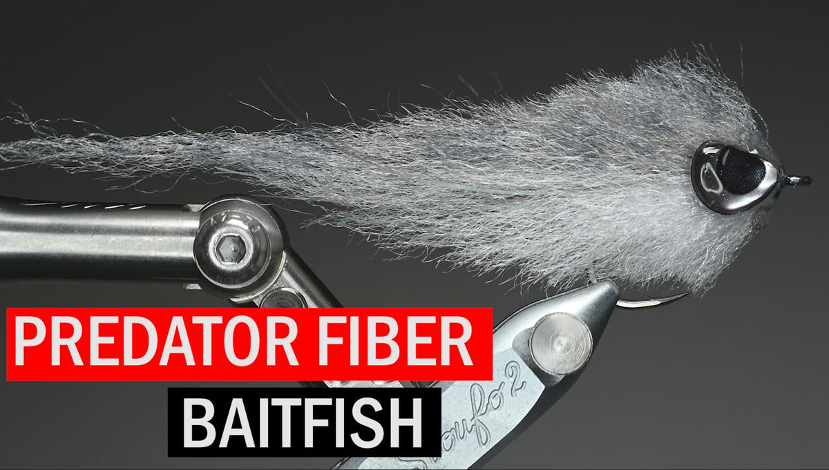 Predator Fiber Baitfish Fly Pattern Tutorial – Svenddiesel.com