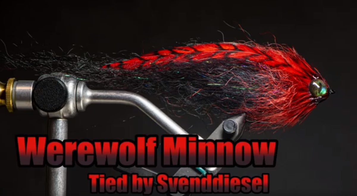 The WereWolf Minnow Fly Pattern Tutorial – Svenddiesel.com